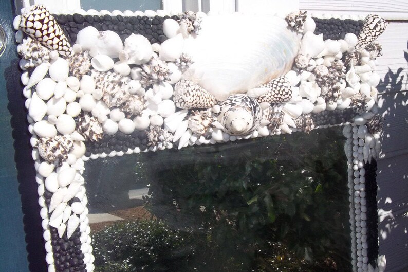 Natural Sea Shell Mirror With Black & White Shells - Etsy