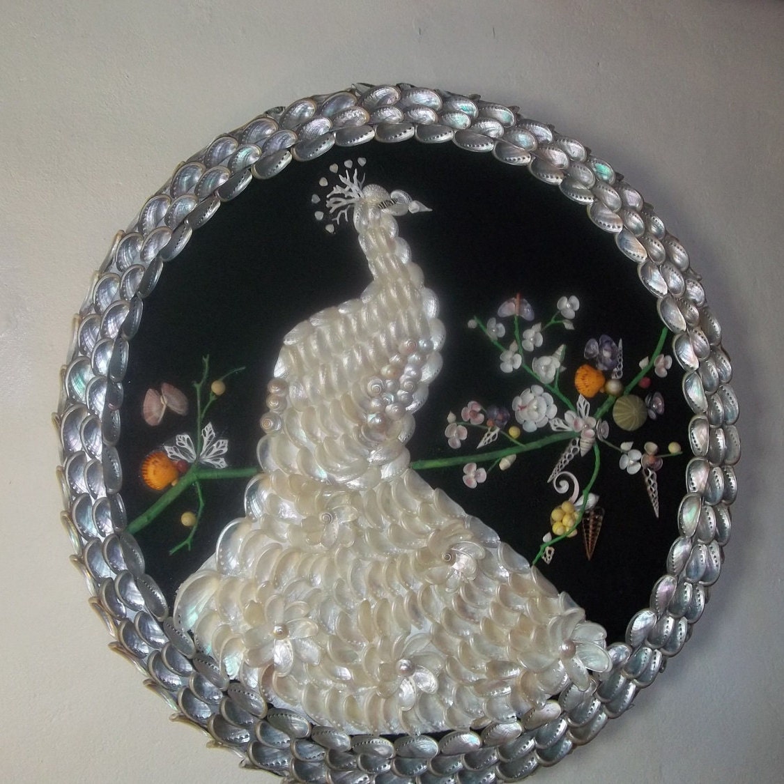 Sea Shell Art A White Peacock With Flowers - Etsy