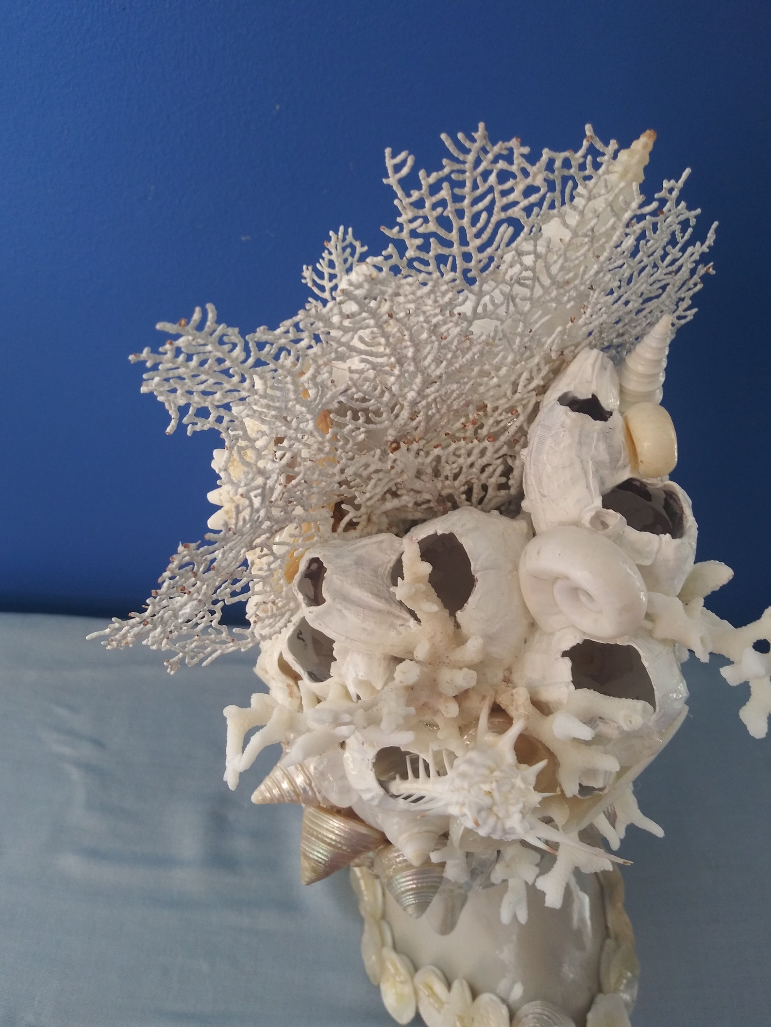 Venus, Goddess of the Sea With Natural Shells WHITE - Etsy