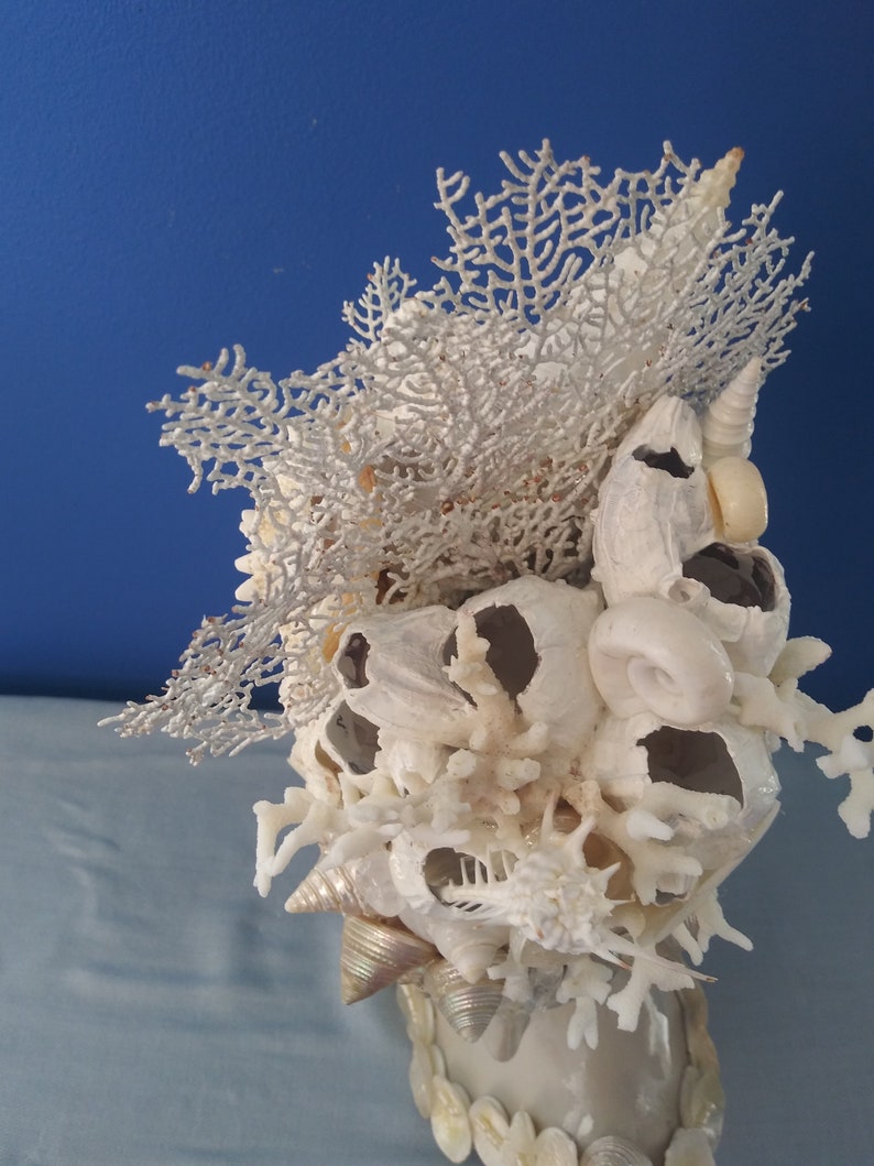 Venus, Goddess of the Sea With Natural Shells WHITE - Etsy