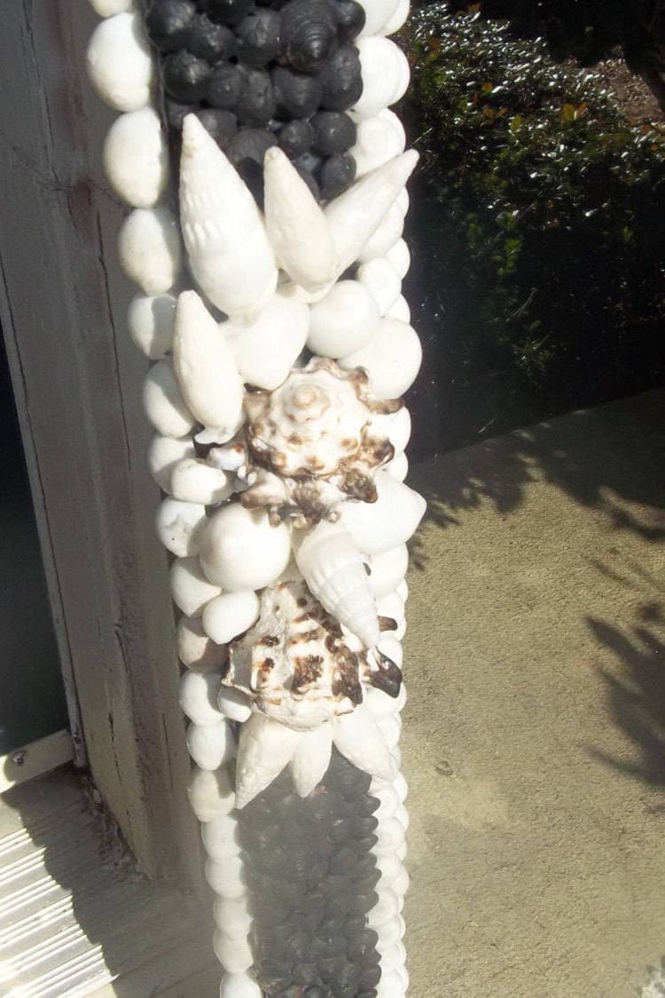 Natural Sea Shell Mirror With Black & White Shells - Etsy