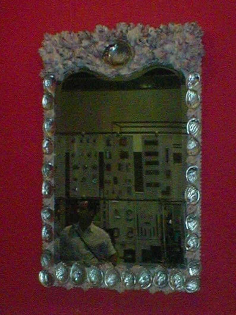 Octagonal Sea Shell Mirror in Black and White - Etsy