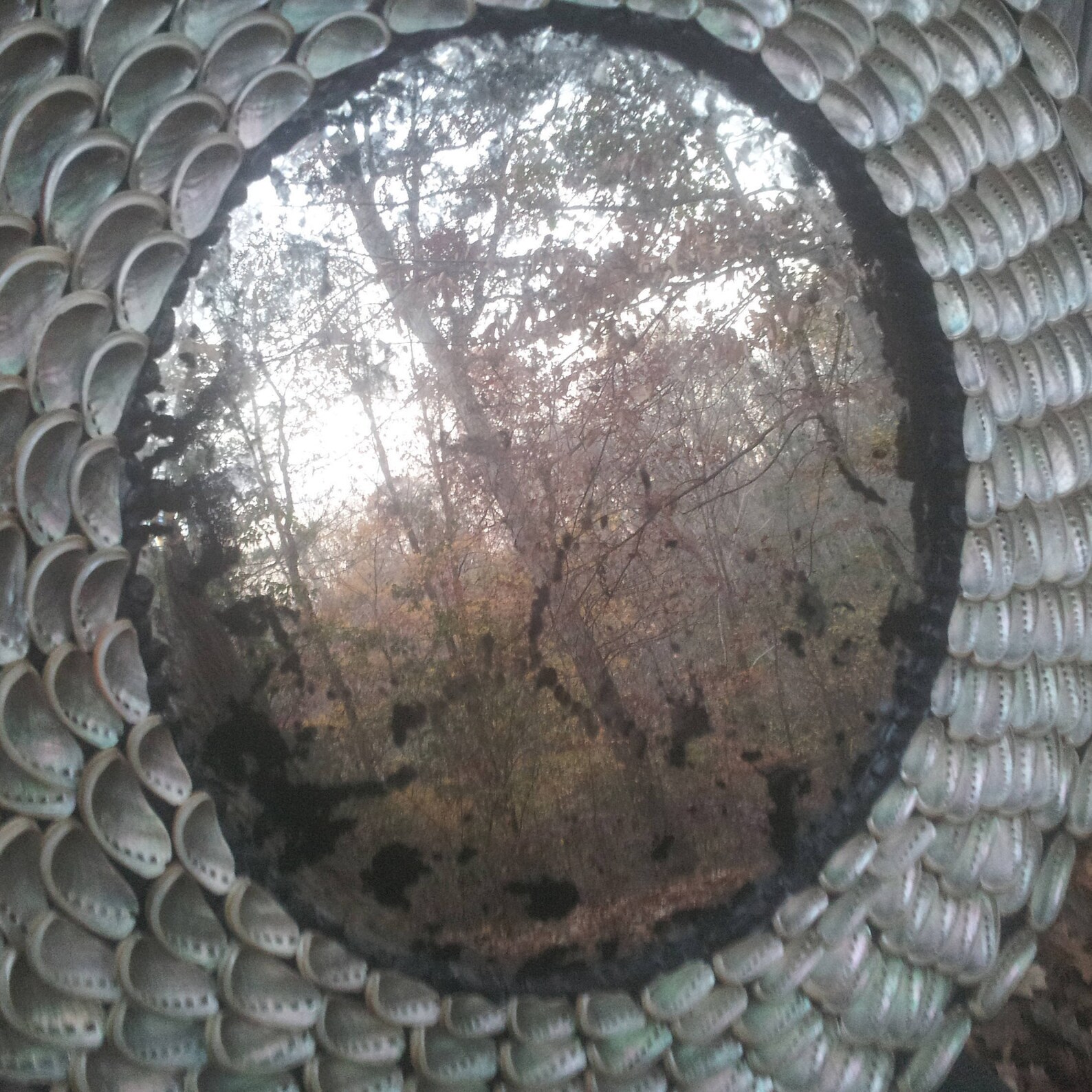 CONTEMPORARY Abalone Sea Shell Frame With an Antique Glass Mirror - Etsy