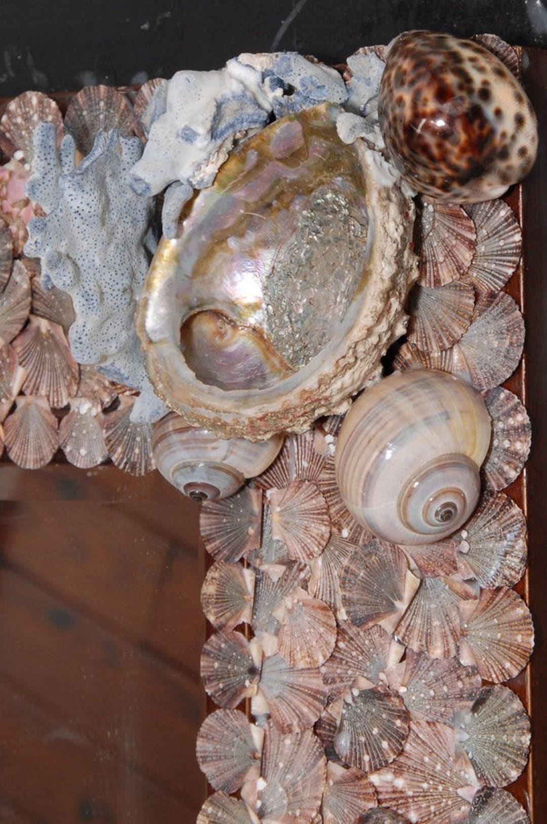 Blue Coral Brown Cowries Fan Clams Sea Shell Square Mirror - Etsy UK