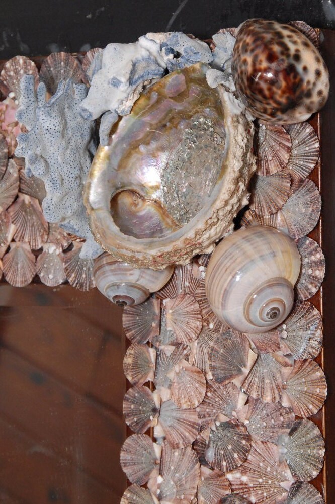 Blue Coral Brown Cowries Fan Clams Sea Shell Square Mirror - Etsy UK
