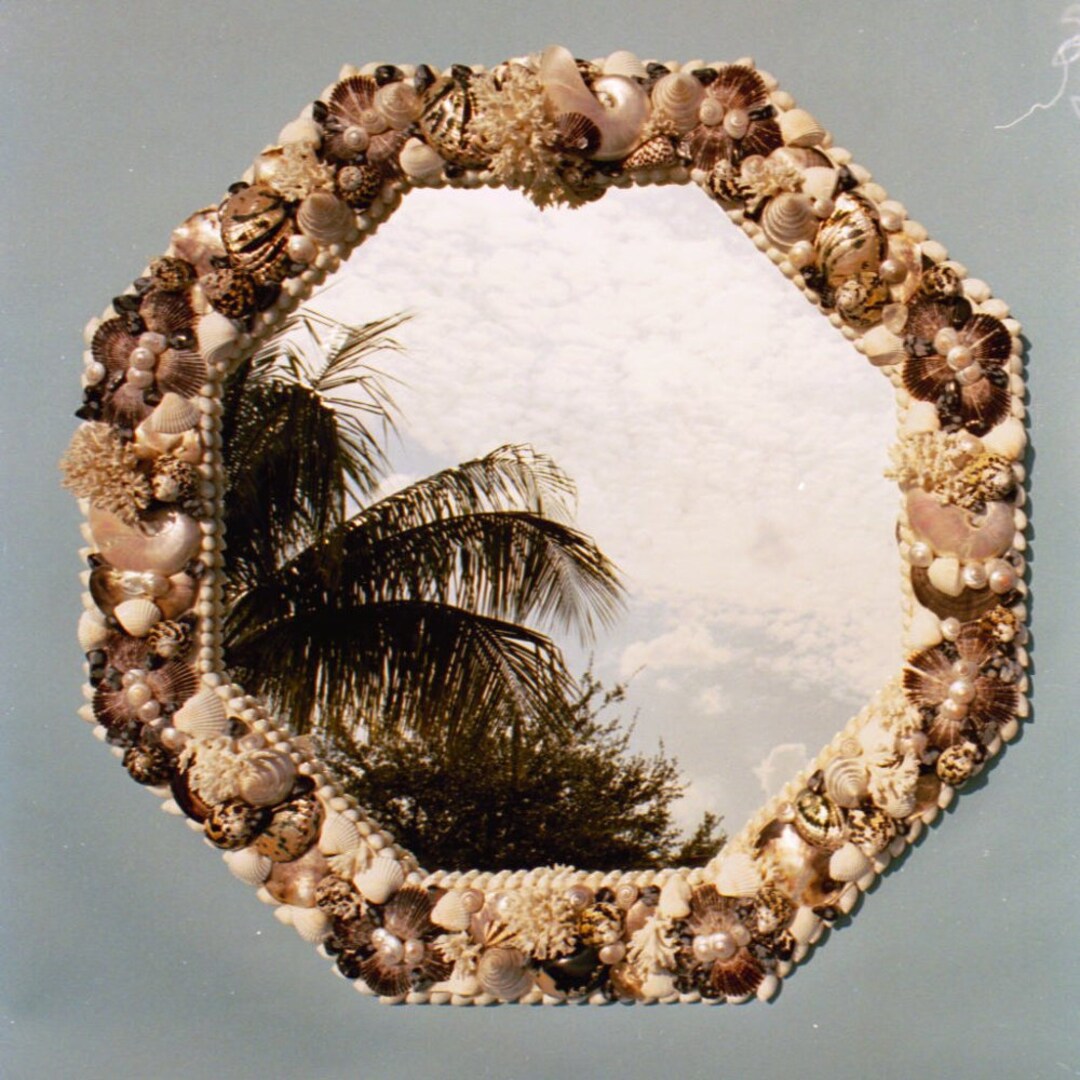 Octagonal Sea Shell Mirror in Black and White - Etsy