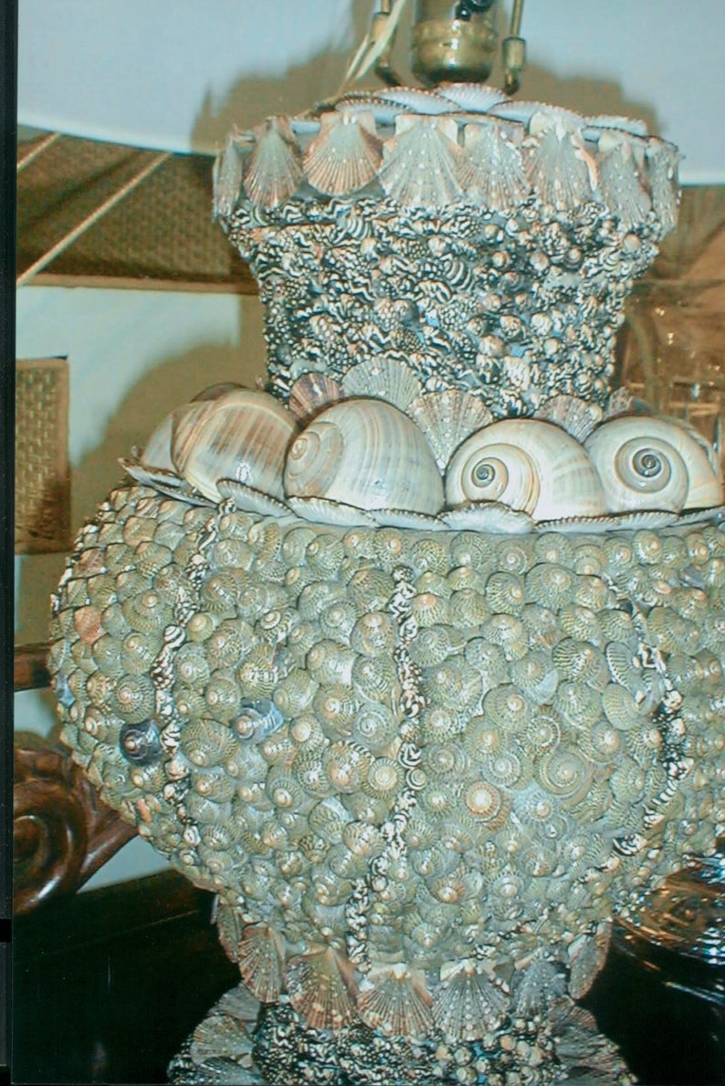 Sea Shell Encrusted Lamp Base - Etsy Australia