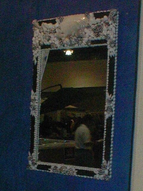 Natural Sea Shell Mirror With Black & White Shells - Etsy