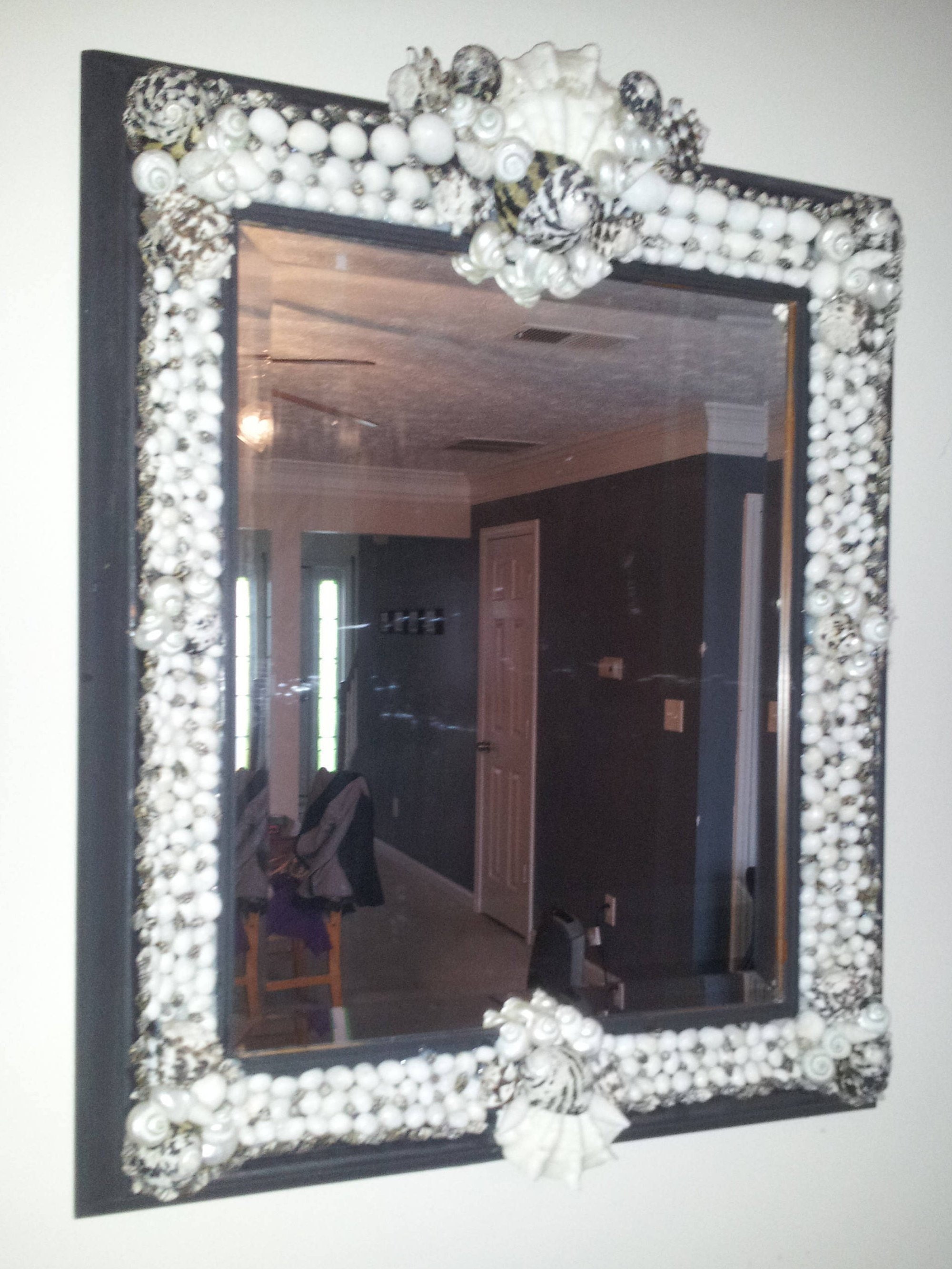 Natural Sea Shell Mirror With Black & White Shells - Etsy