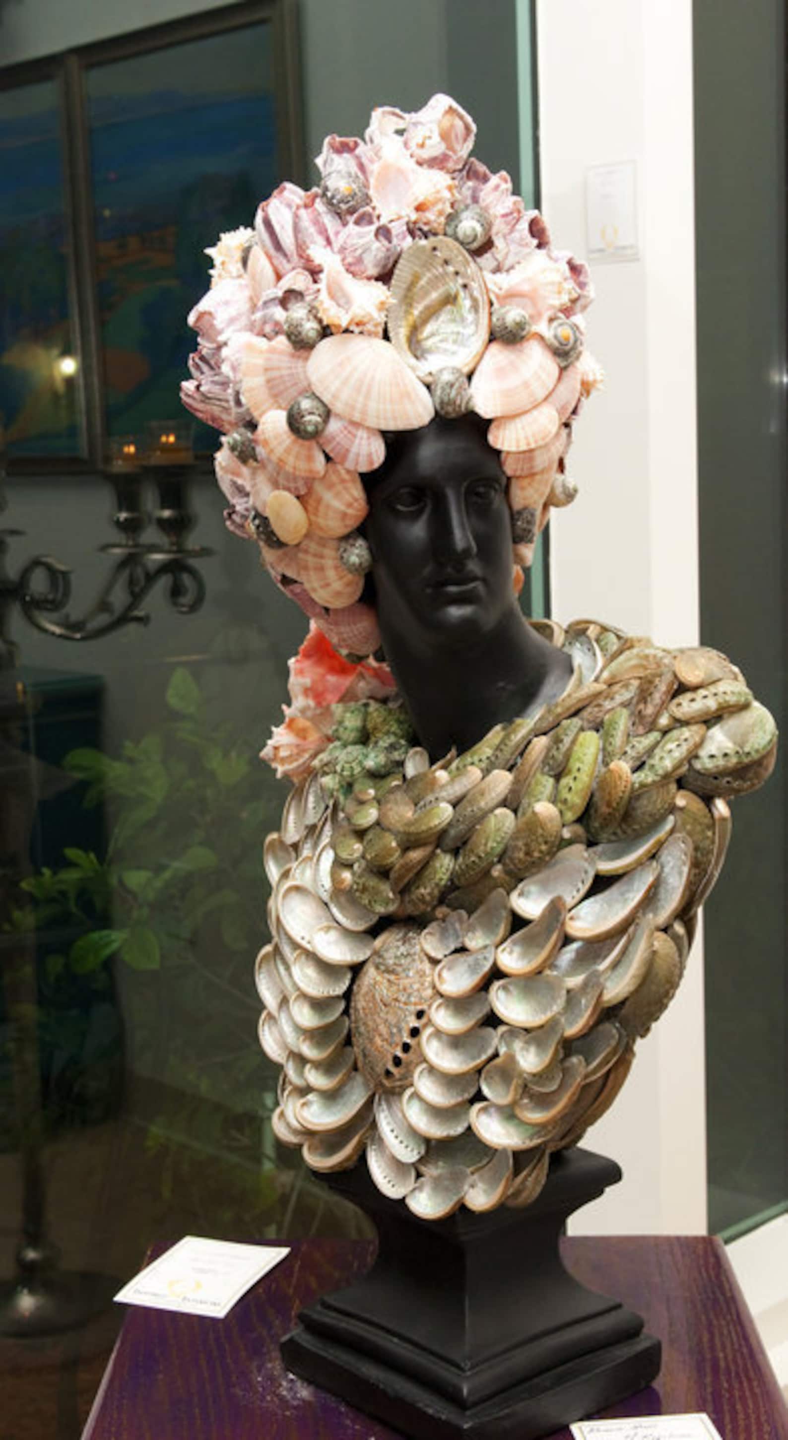 Sea Shell Bust Coquillage Inspired by VIZCAYA MUSEUM and GARDENS . - Etsy