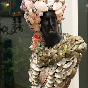 Sea Shell Bust Coquillage Inspired by VIZCAYA MUSEUM and GARDENS . - Etsy