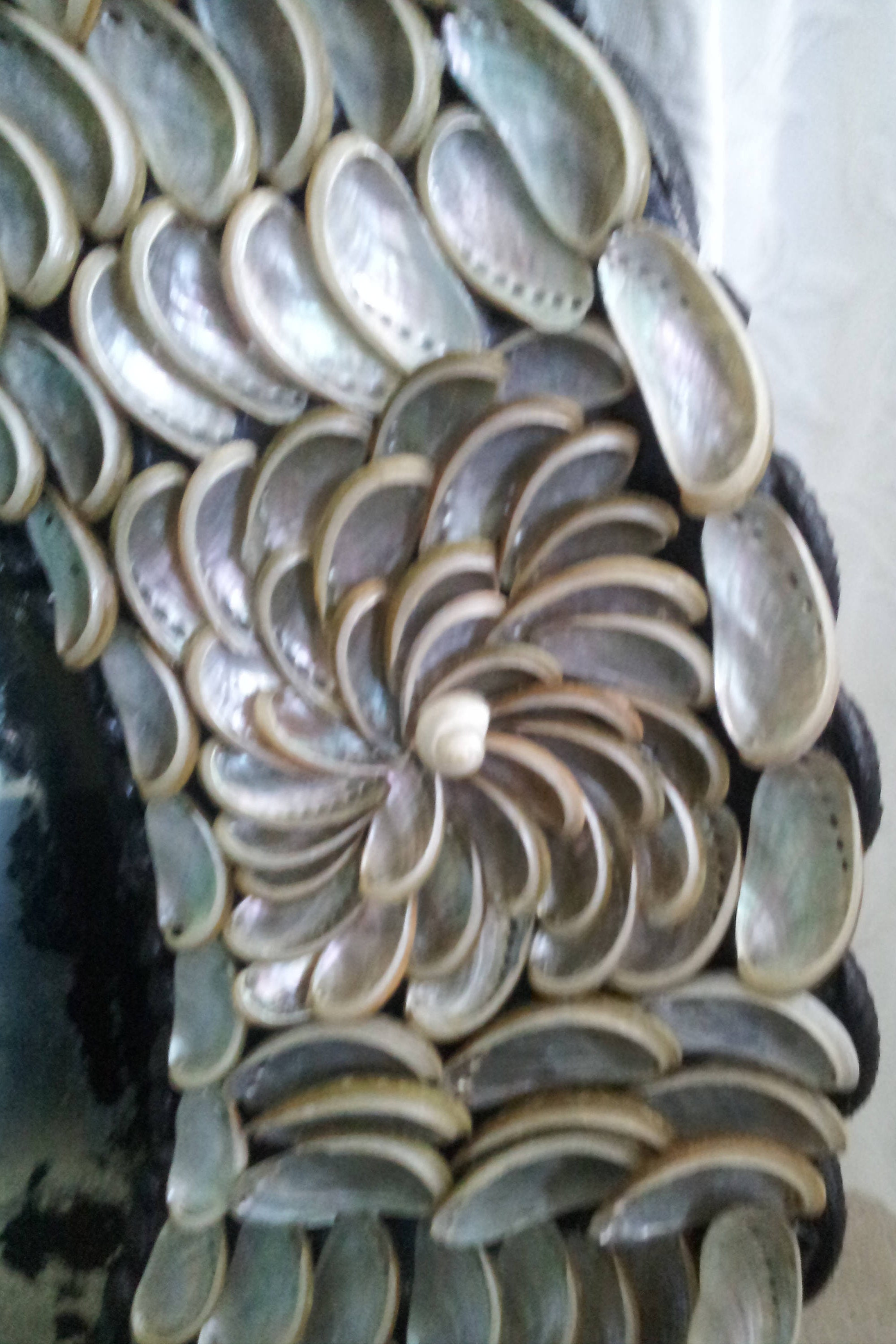CONTEMPORARY Abalone Sea Shell Frame With an Antique Glass Mirror - Etsy