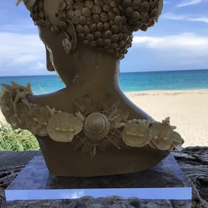 Venus, Goddess of the Sea With Natural Shells WHITE - Etsy