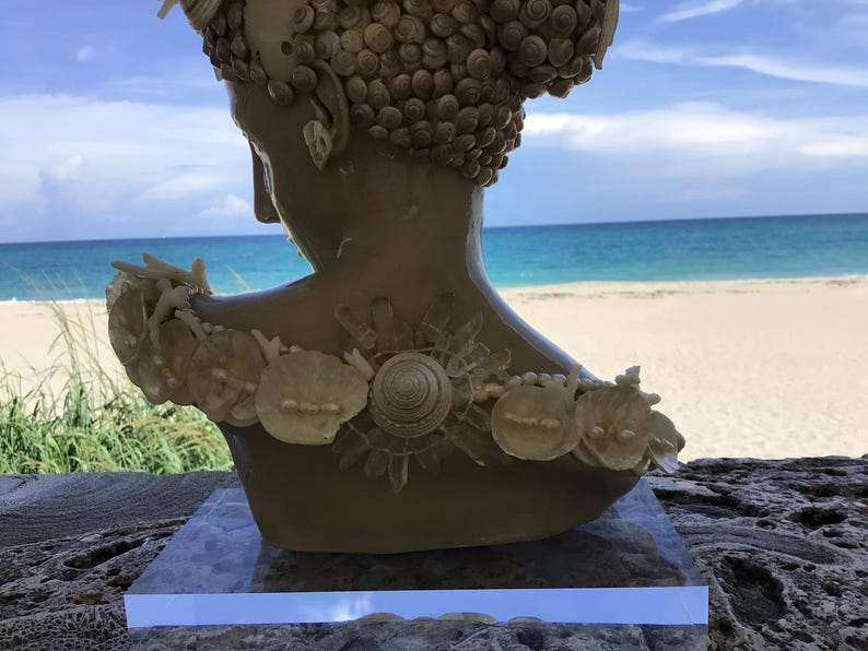 Venus, Goddess of the Sea With Natural Shells WHITE - Etsy