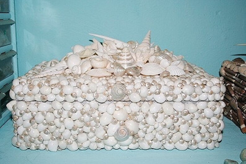 Sea Shell Encrusted Wine Box....inspired by VIZCAYA MUSEUM GARDENS ...