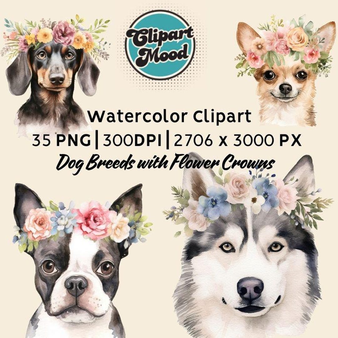 Flower Crown Dog Breeds PNG – 35 Digital Clip Art Set - Etsy