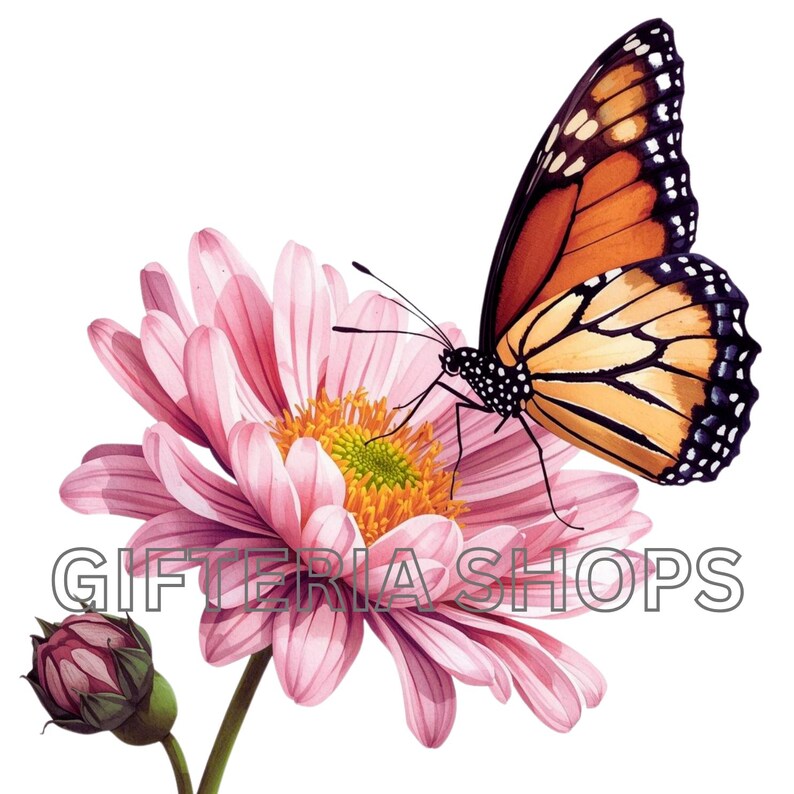 Watercolor Flower Butterfly Clip Art, Floral Design Illustration ...