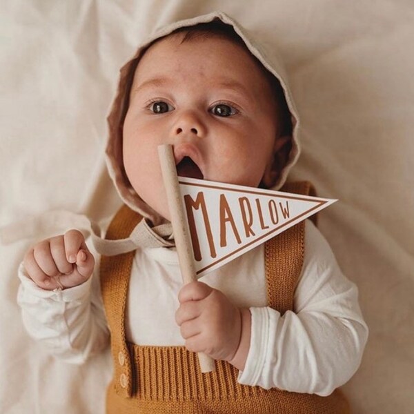 Mini Name Pennant Flag - Etsy