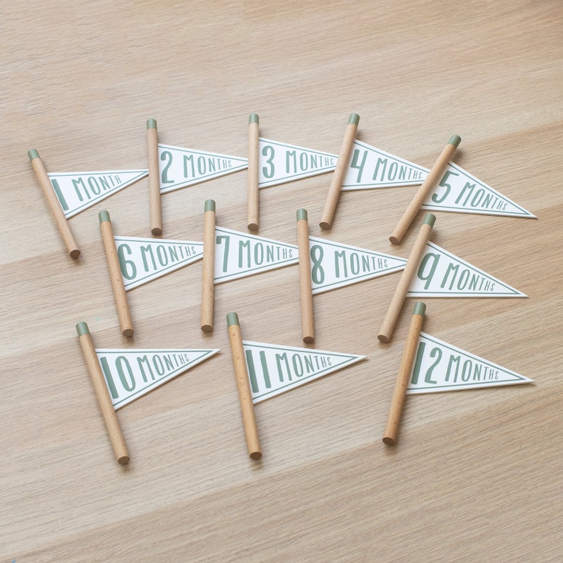 Baby Milestone Pennant Flags: 1-12 Months Photo Props - Etsy