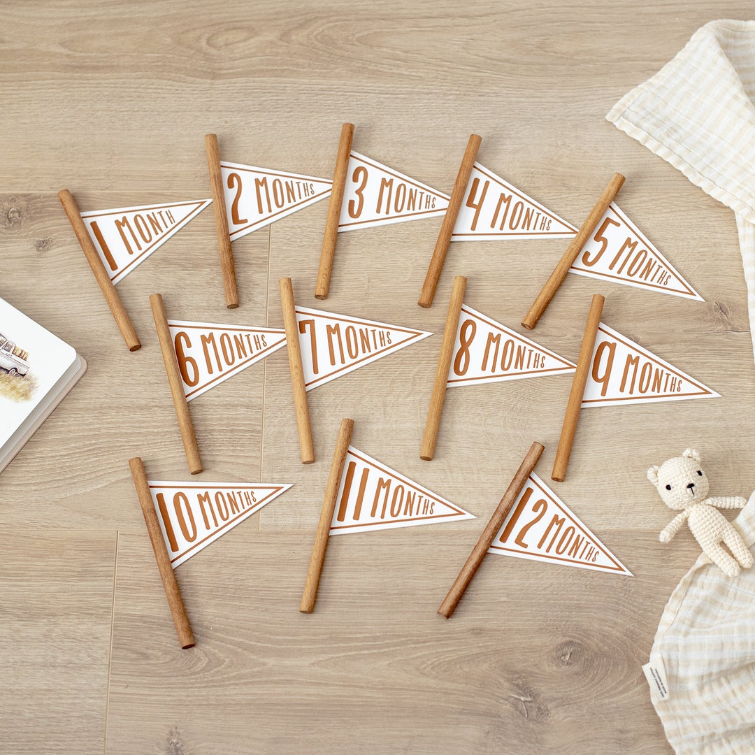 1-12 Months Vintage Style Mini Milestone Pennant Flags / Milestone ...