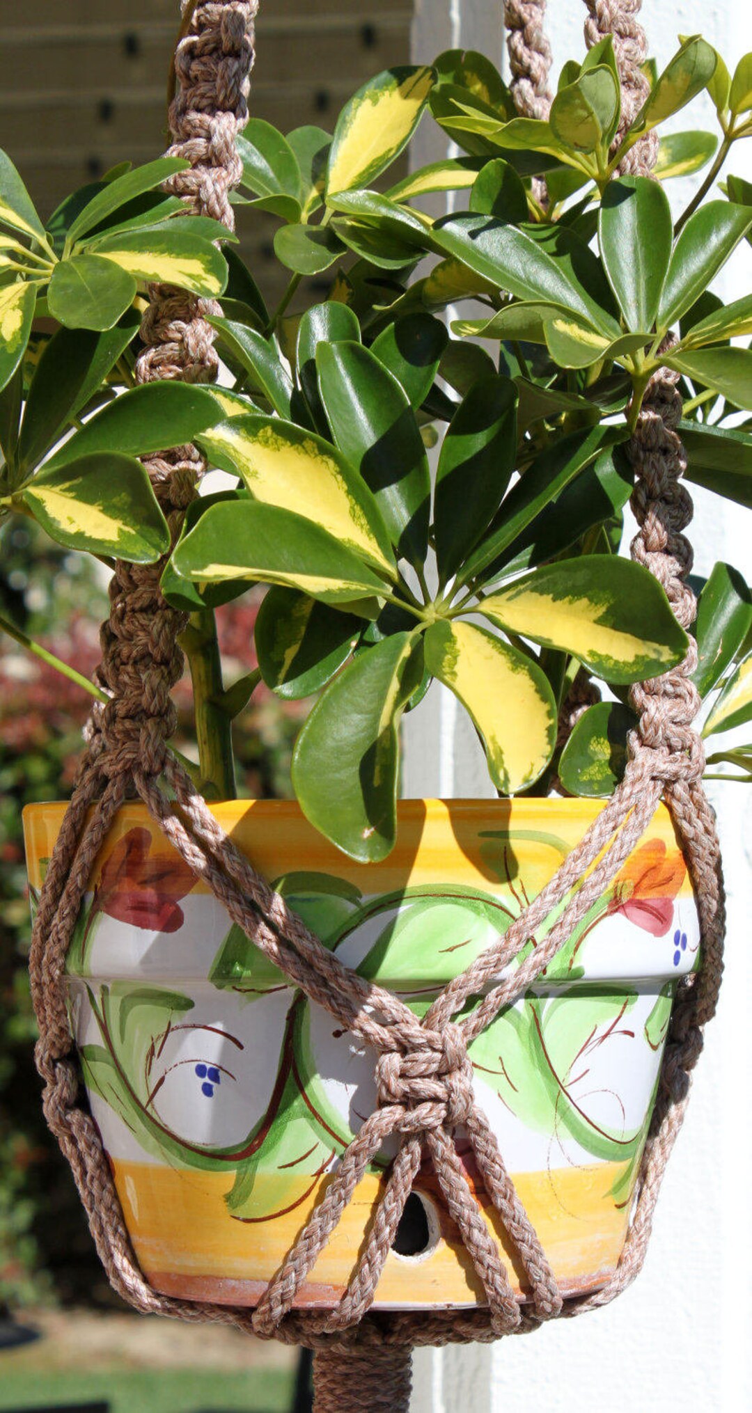 CLASSIC Mixed Color Macramé Plant Hanger With Plastic Beads 6mm Braided ...