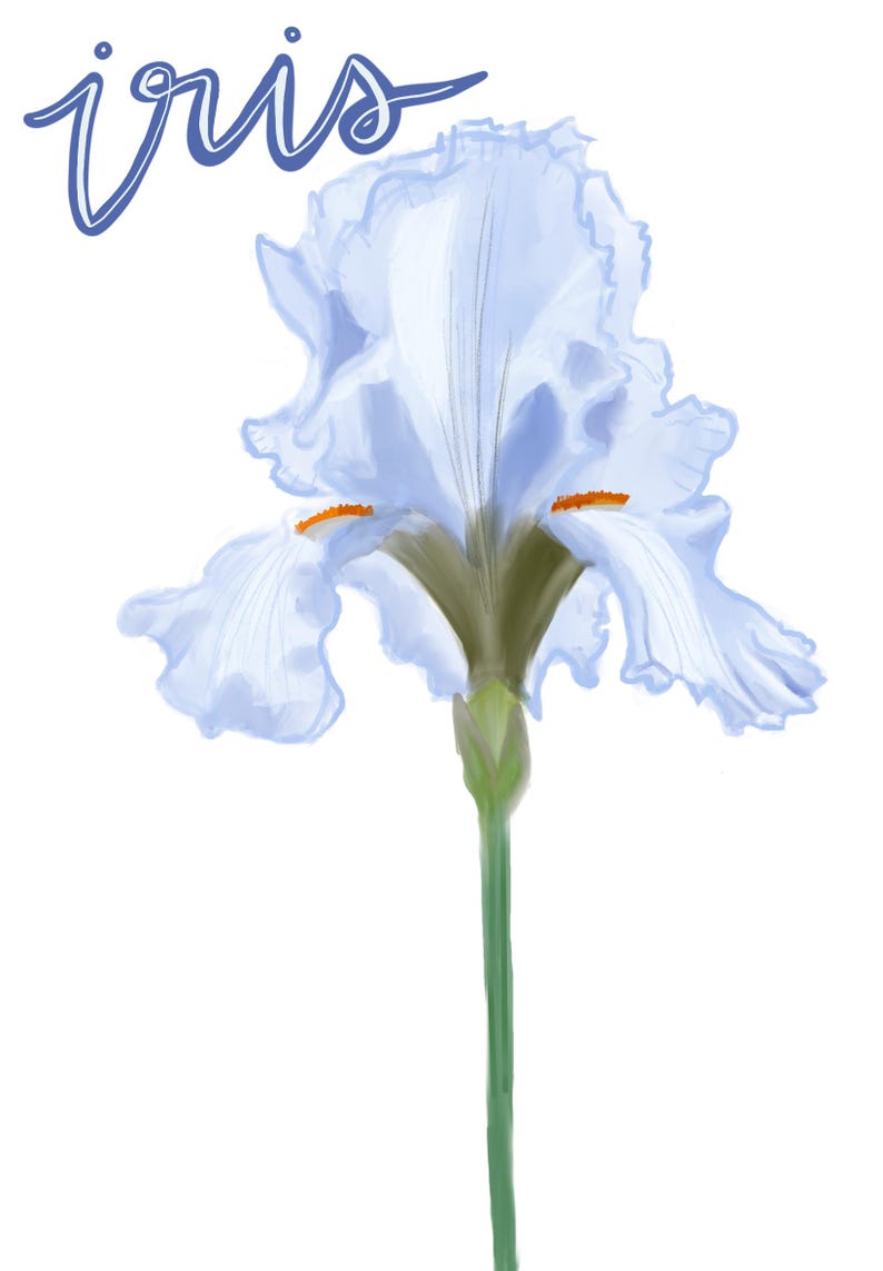 Iris Flower Digital Download - Etsy