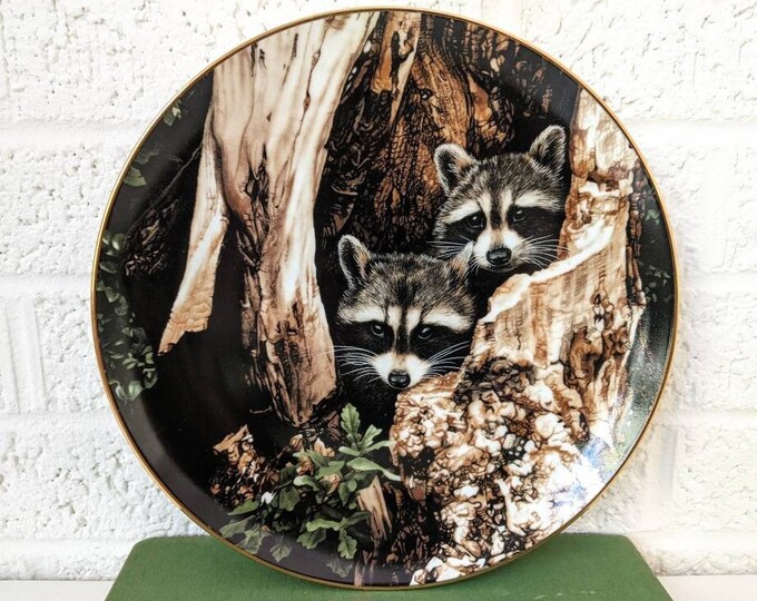 Vintage Hamilton Collection Plate | Pair of Raccoons | A Curious Pair ...