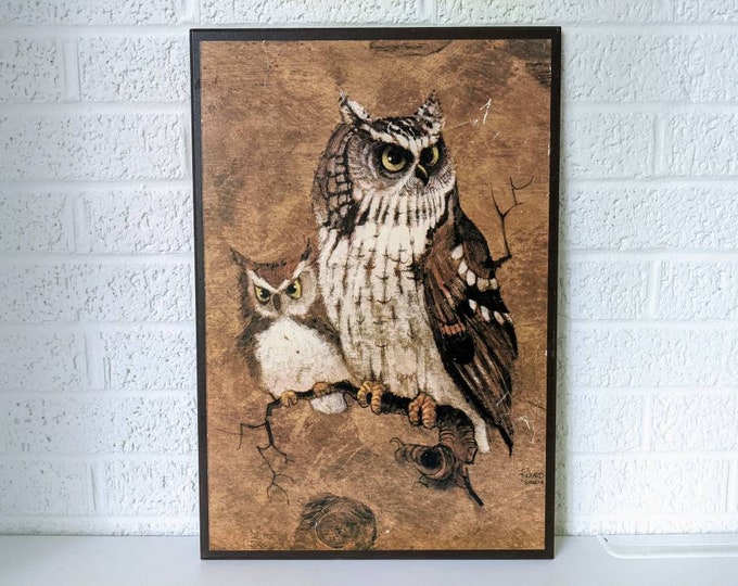 Vintage Richard "screech" Owl Mid-century Print | Seventies Art - Etsy