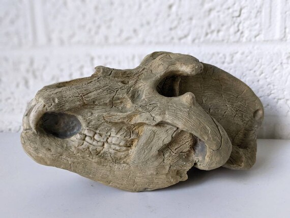 Vintage Replica Skull Skulls of Antiquity 1987 | Etsy