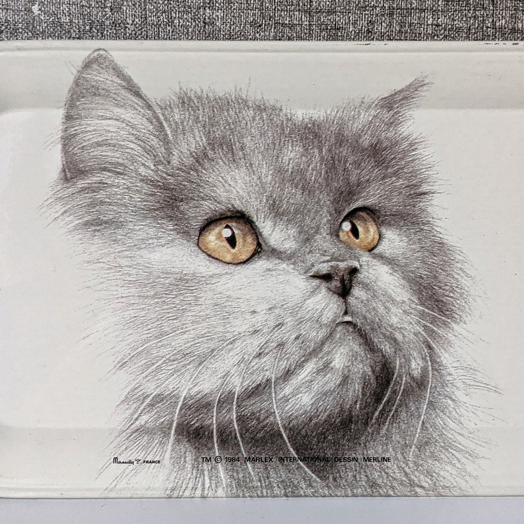 Vintage Massilly France Tin Cat Tray - Etsy