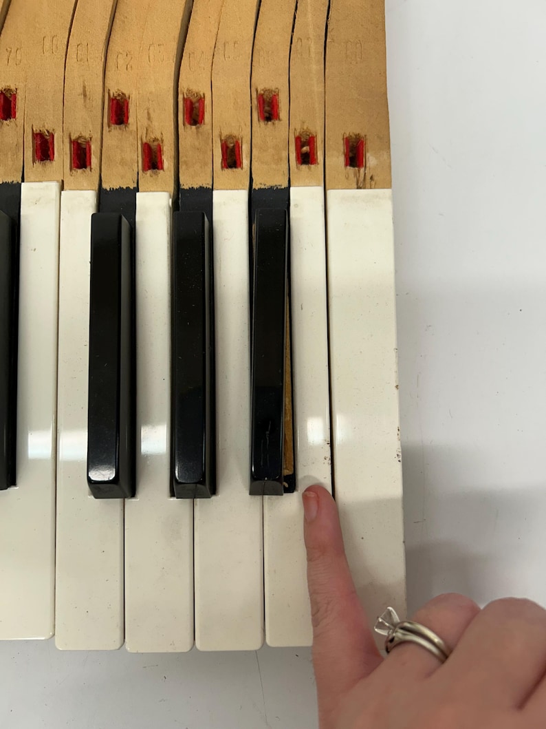 As is Set 88 Vintage Salvaged Real Piano Keys Keyboard Musical ...