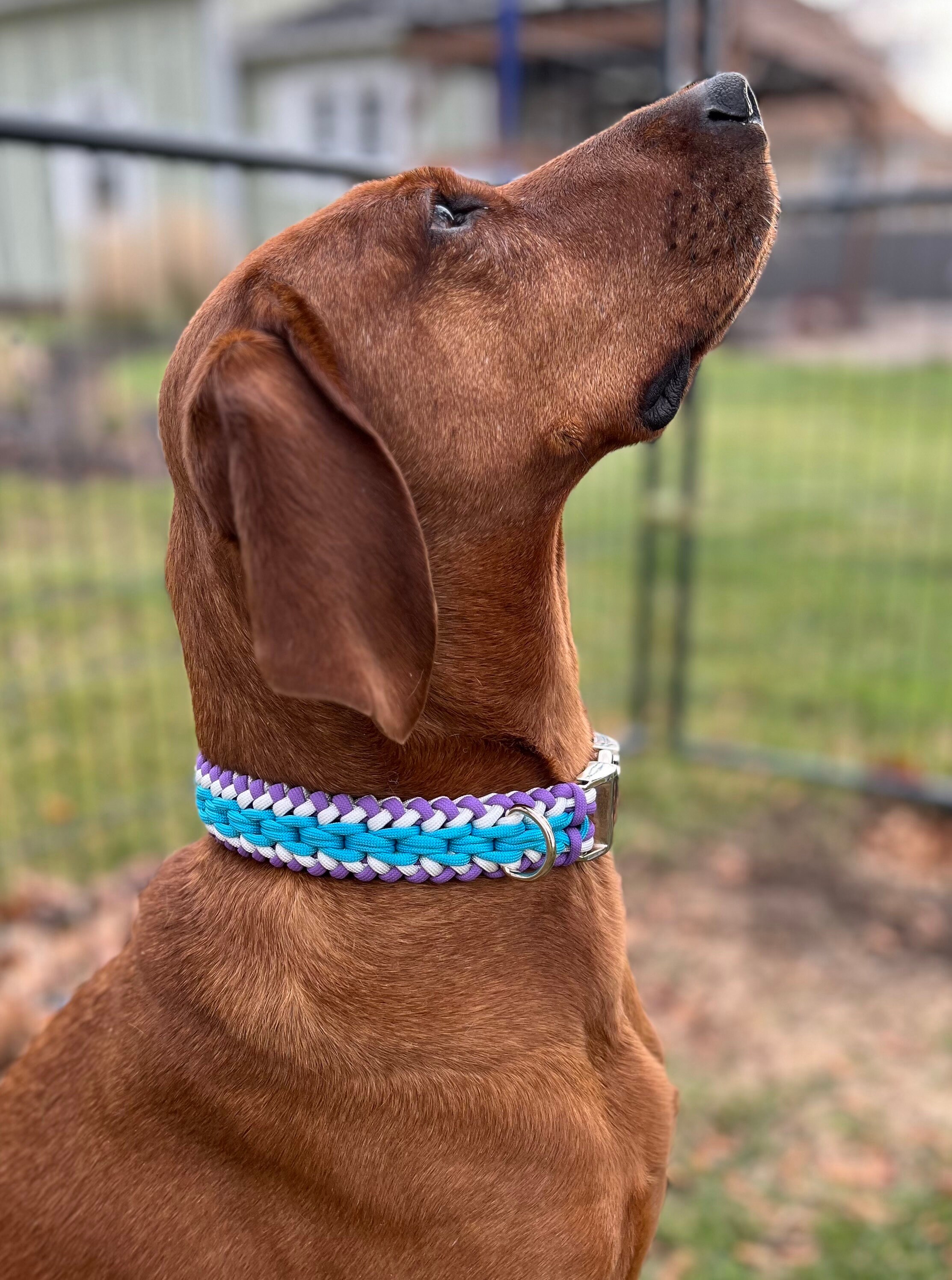 NEW!!! Paracord Dog Collar in the Sanctified Chain Link Weave (custom ...