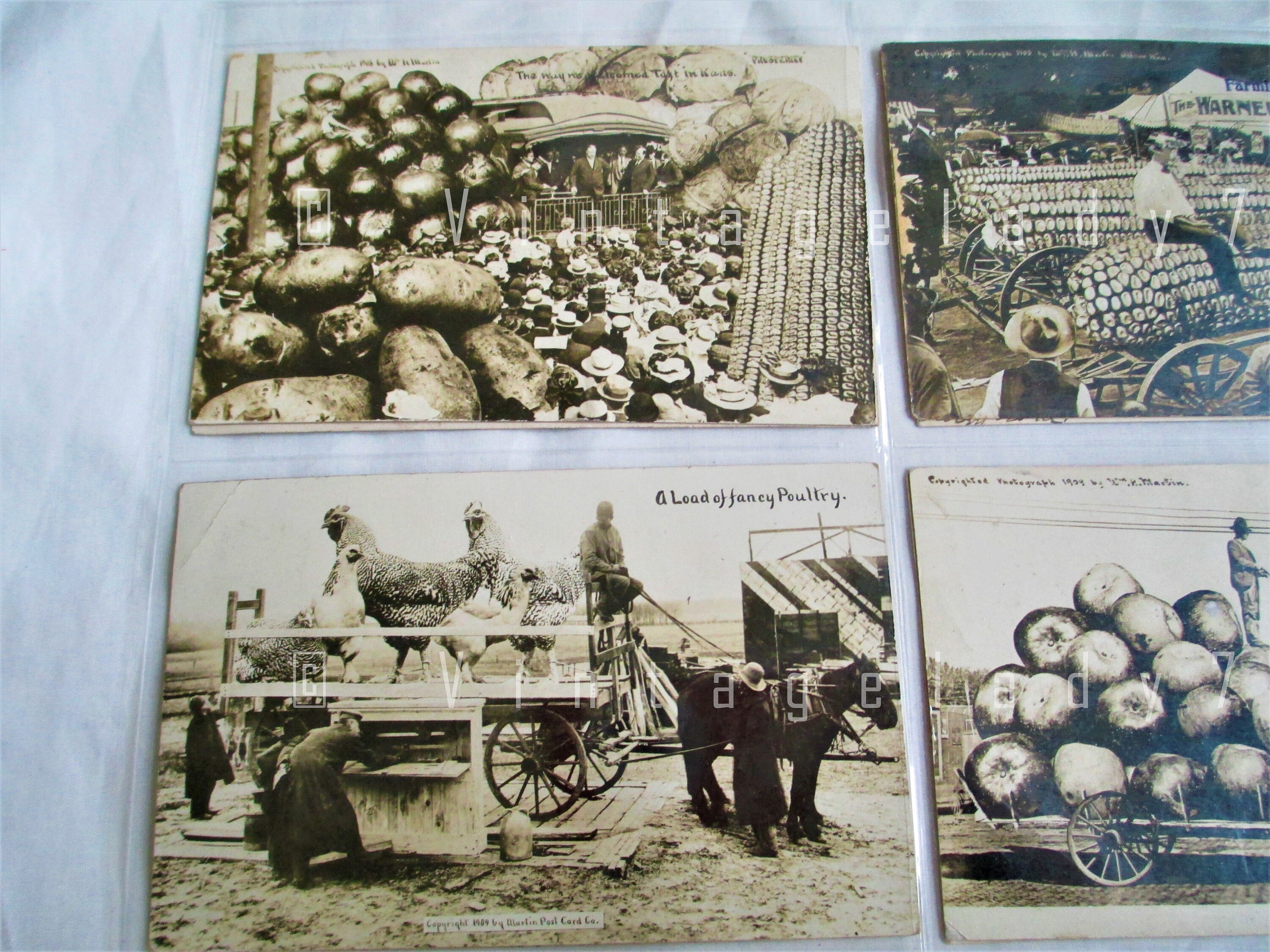 Vintage Postcard Lot Of 8 Exaggerated Real Photo postcards W.H | Etsy