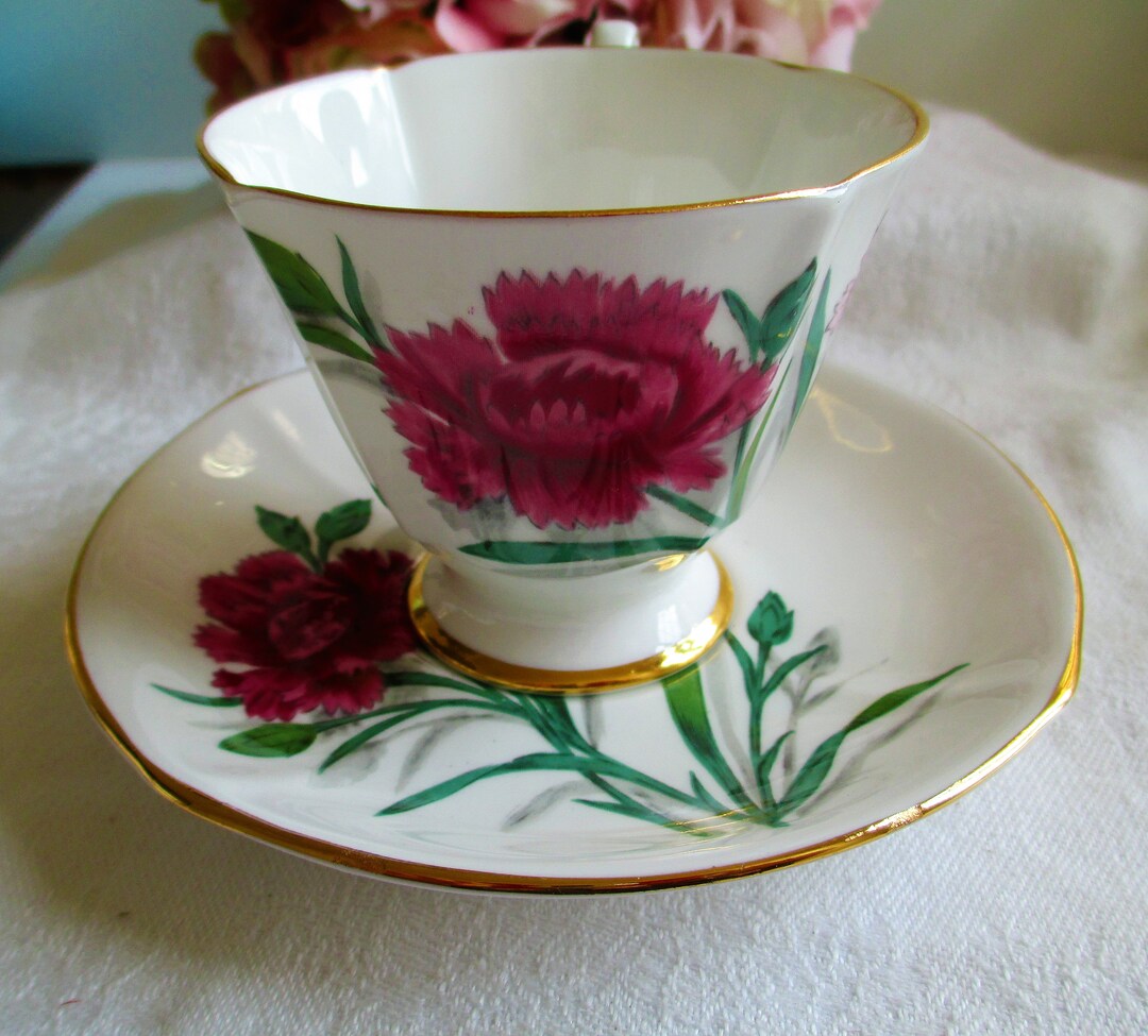 Roslyn Carnations Fine Bone China England Tea Cup and Saucer Floral ...