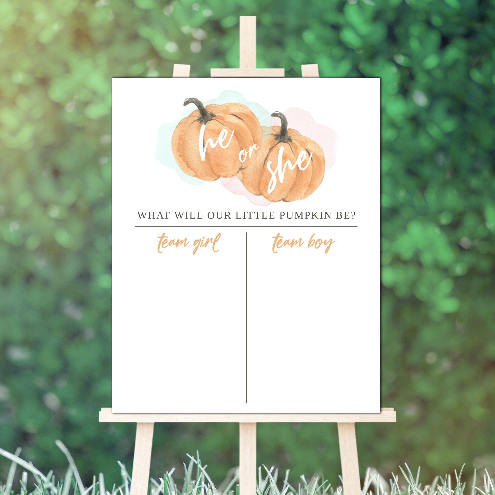 Pumpkin Gender Reveal Boy or Girl Voting Sign Little - Etsy
