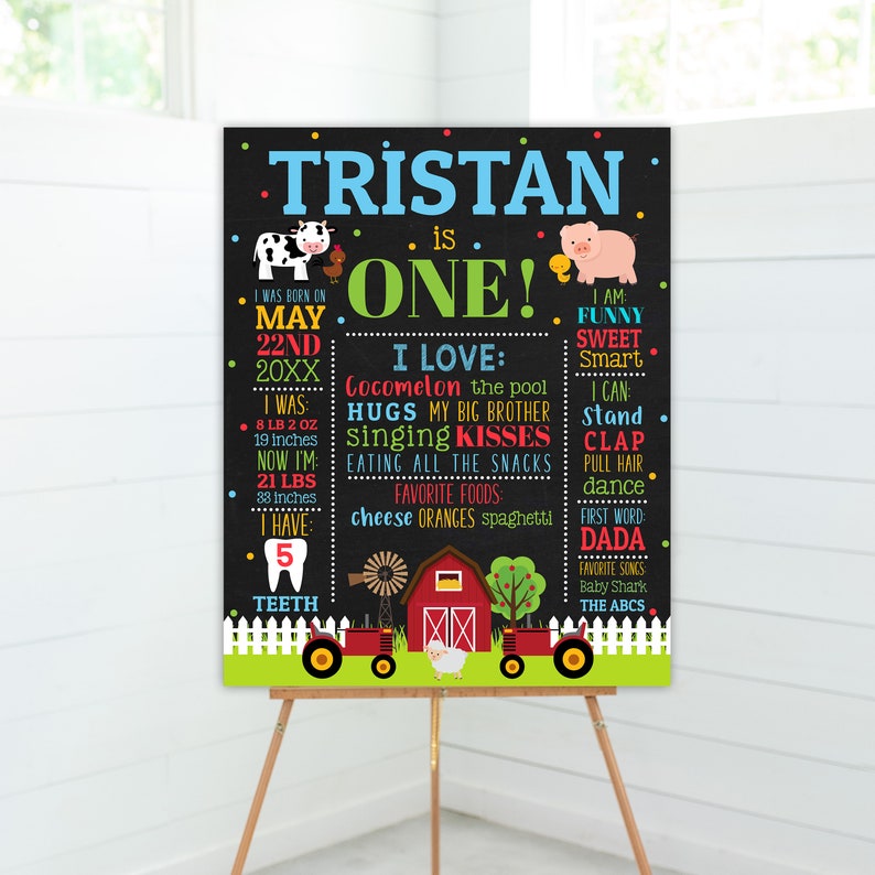 Farm Animal 1st Birthday Farm Birthday Party Animals - Etsy