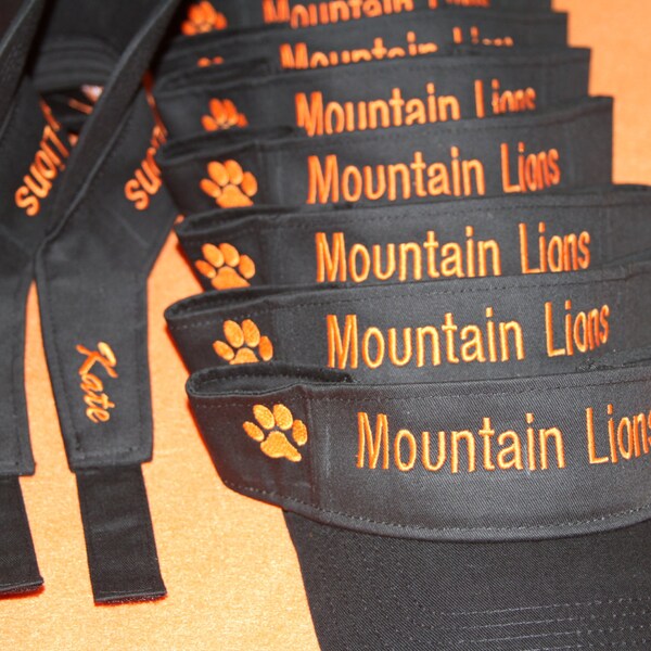 Embroidered Softball - Etsy