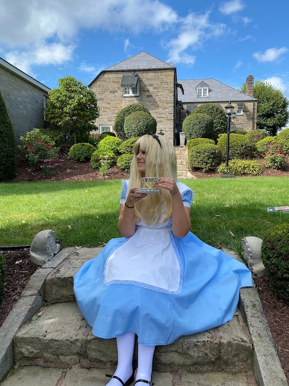 Disneyland Alice In Wonderland Costume