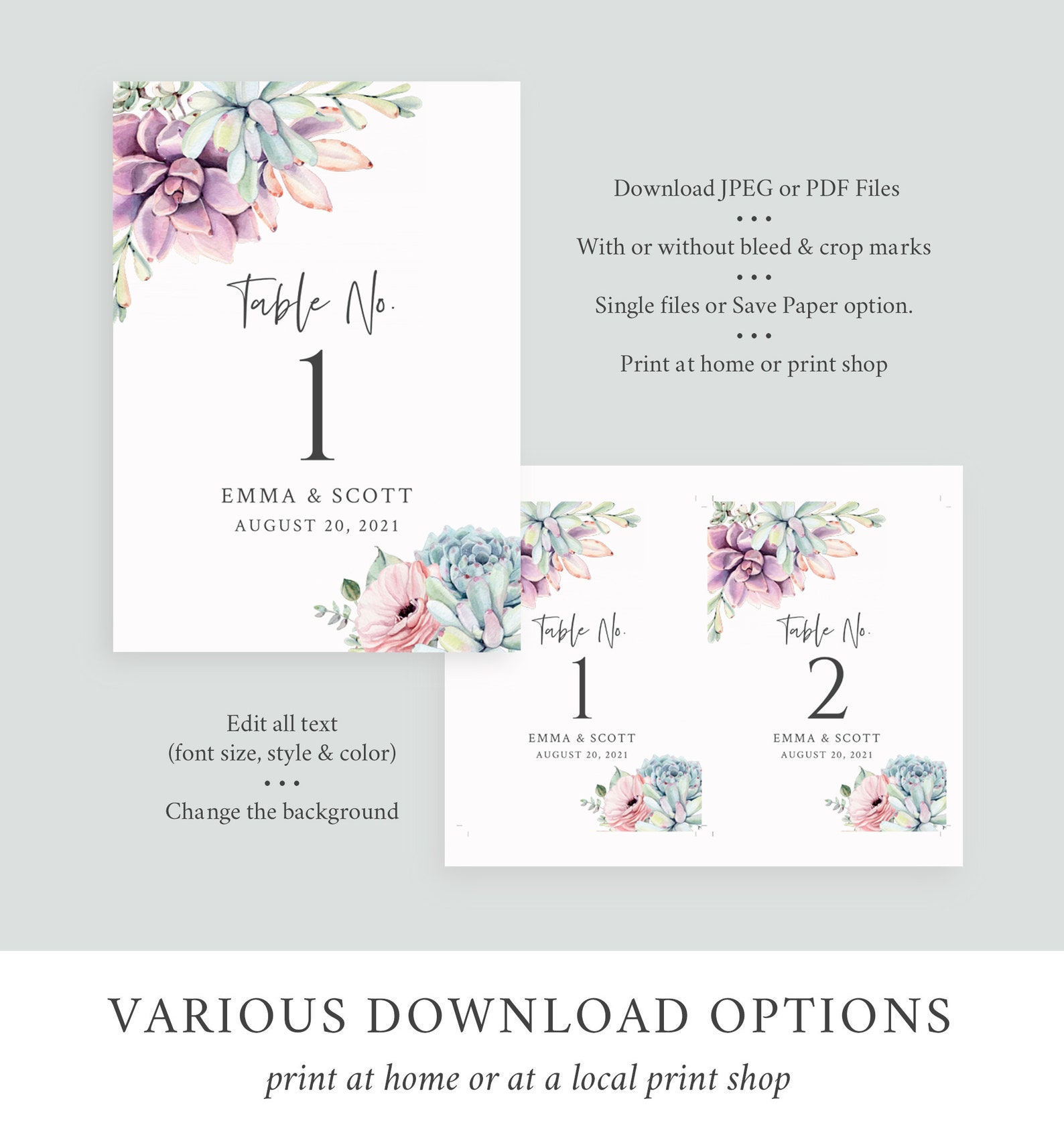 Succulent Boho Editable Table Numbers Printable Pink Blue | Etsy