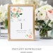 Peach Rose Editable Table Numbers, Printable Peach Floral Table Numbers ...