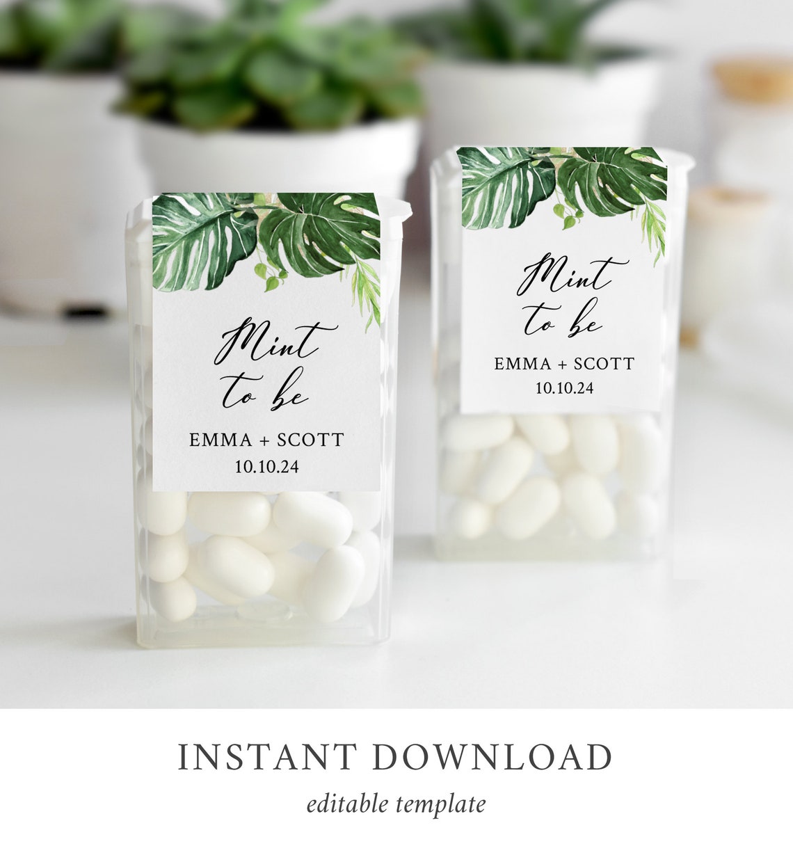 Monstera Editable Tic Tac Labels Printable Mint to Be Label - Etsy