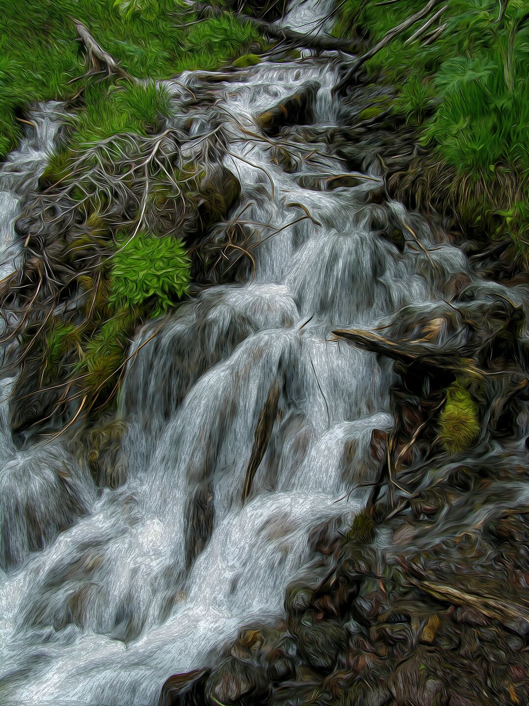 Olympic Peninsula Coastal Photography, Olympic Peninsula Landscape ...