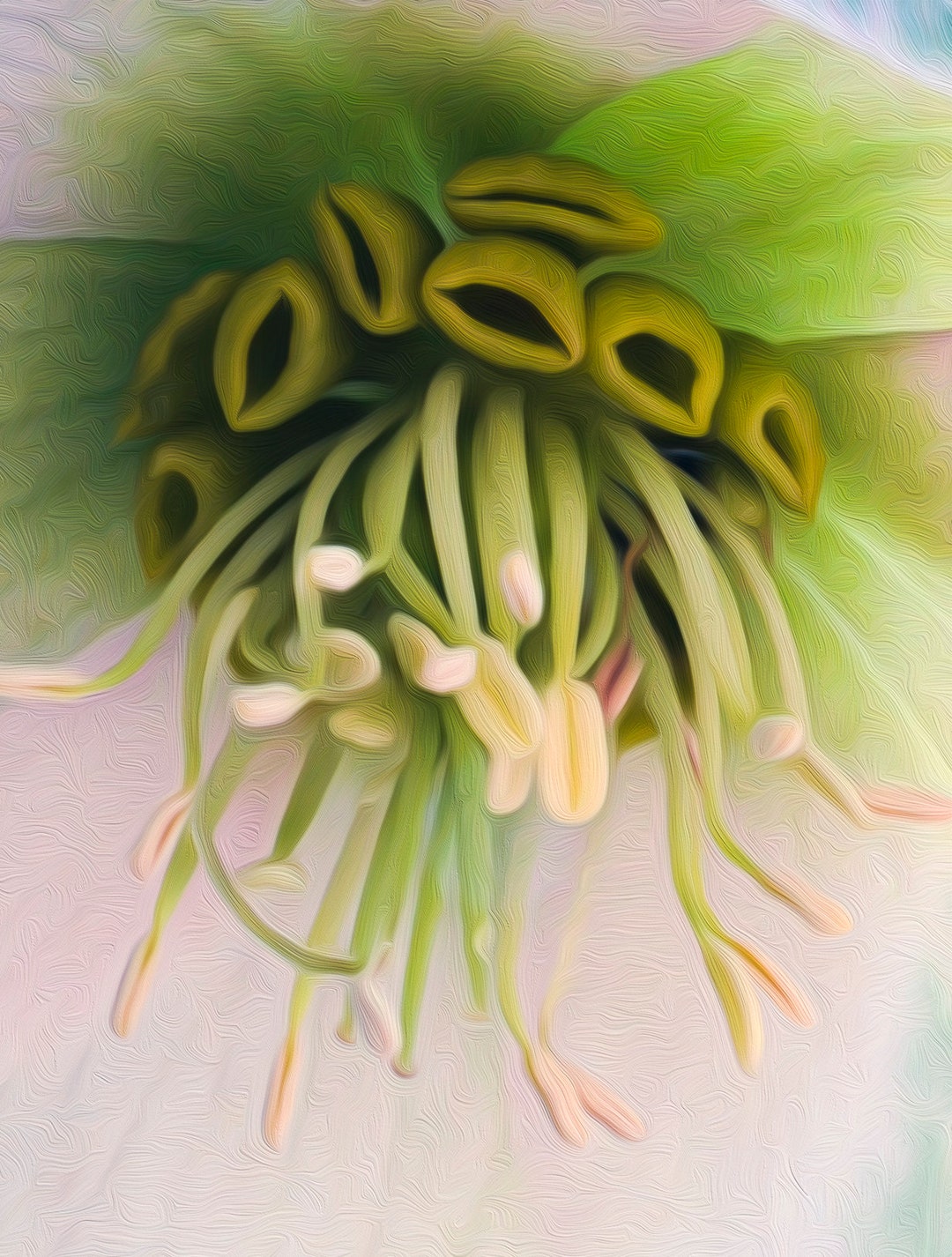 Macro Flower Photography, Abstract Flower Photography, Outdoor ...