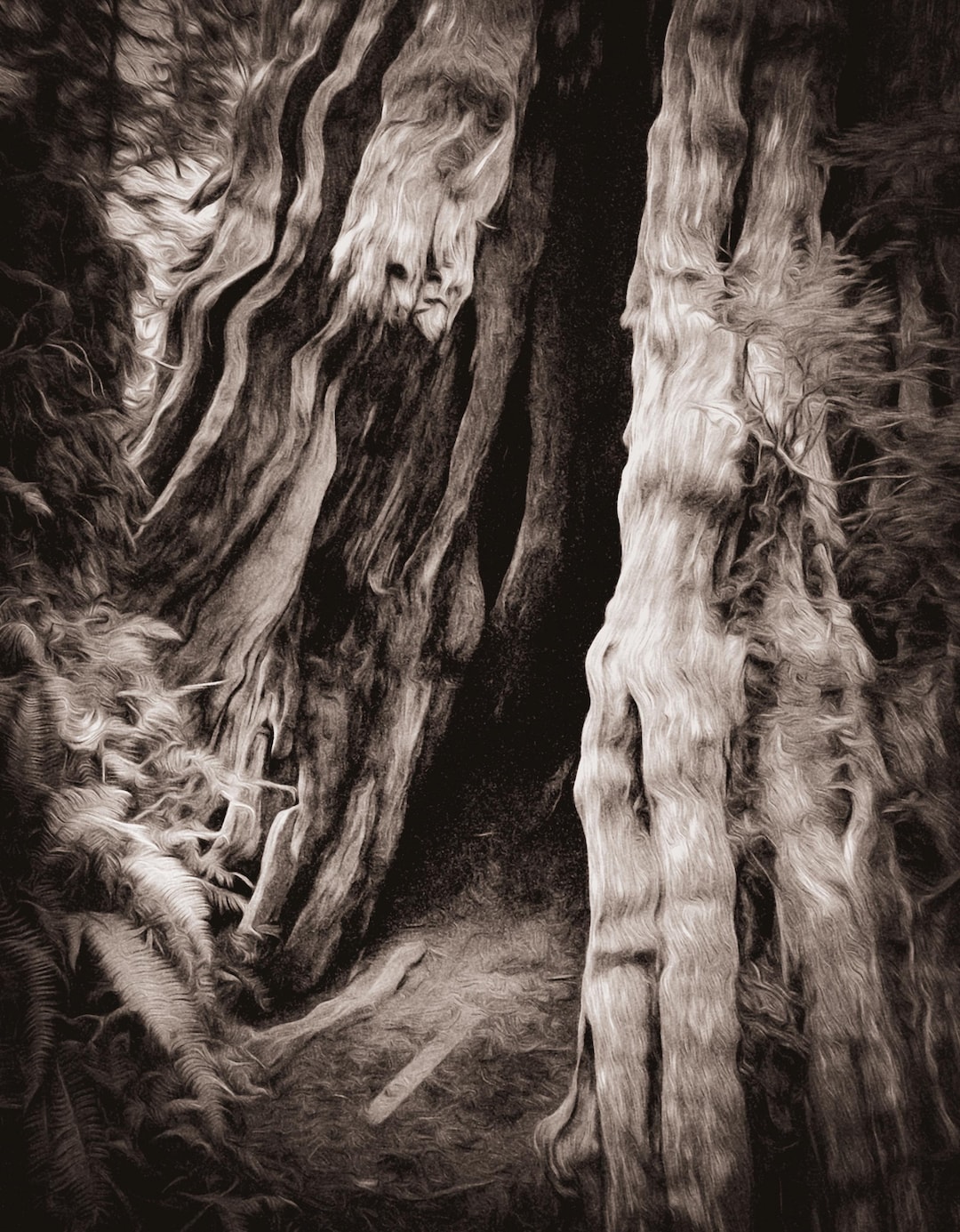 Modern Pictorialism Photography, Fine Art Phorography, Painterly ...