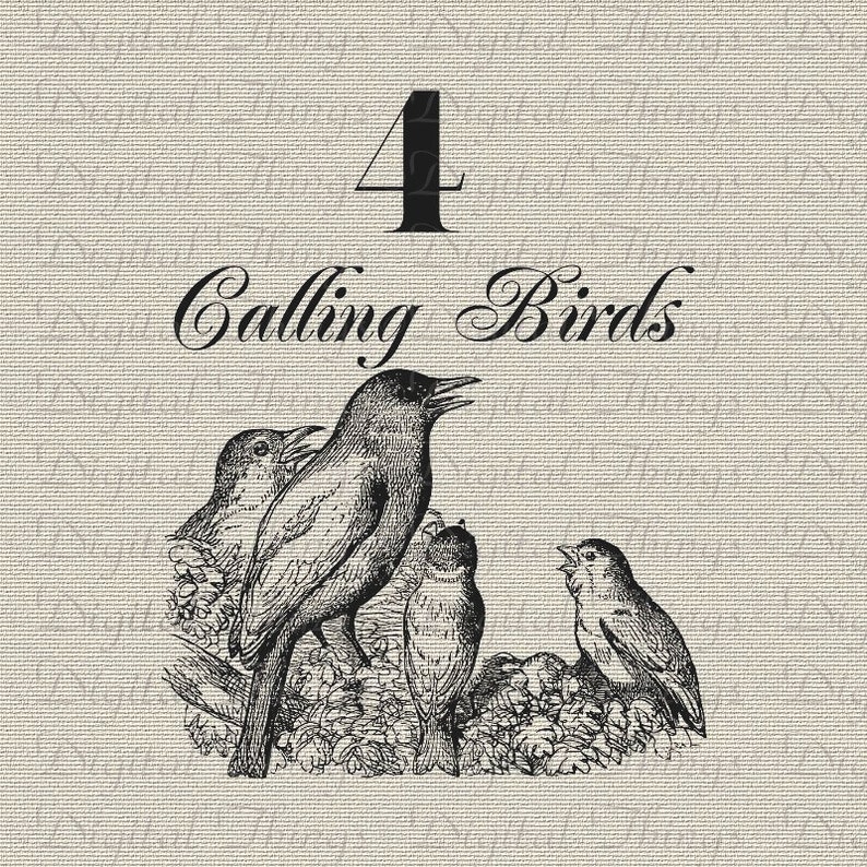 12 Twelve Days of Christmas Four Calling Birds Printable Print - Etsy