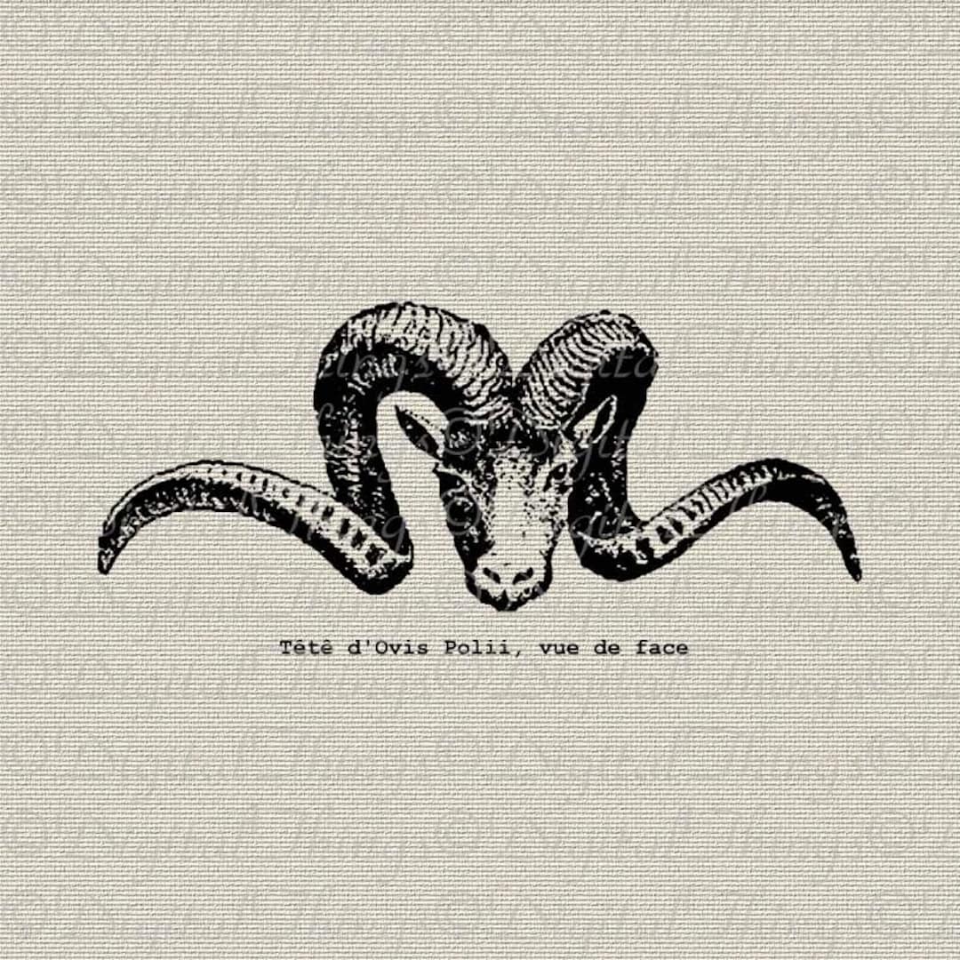French Ram Sheep Head Horns Nature Art Wall Decor Art - Etsy