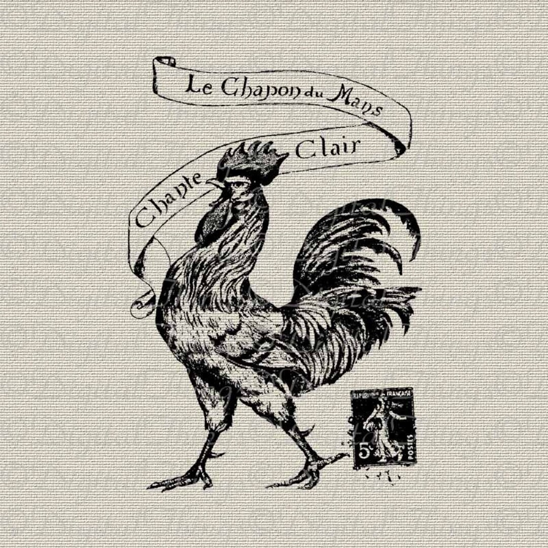 French Stamp French Postcard Rooster Chicken French Decor - Etsy