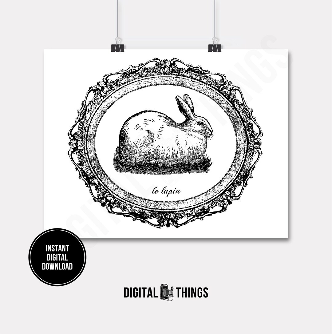 Easter Bunny French Rabbit Hare Le Lapin French Script Printable ...