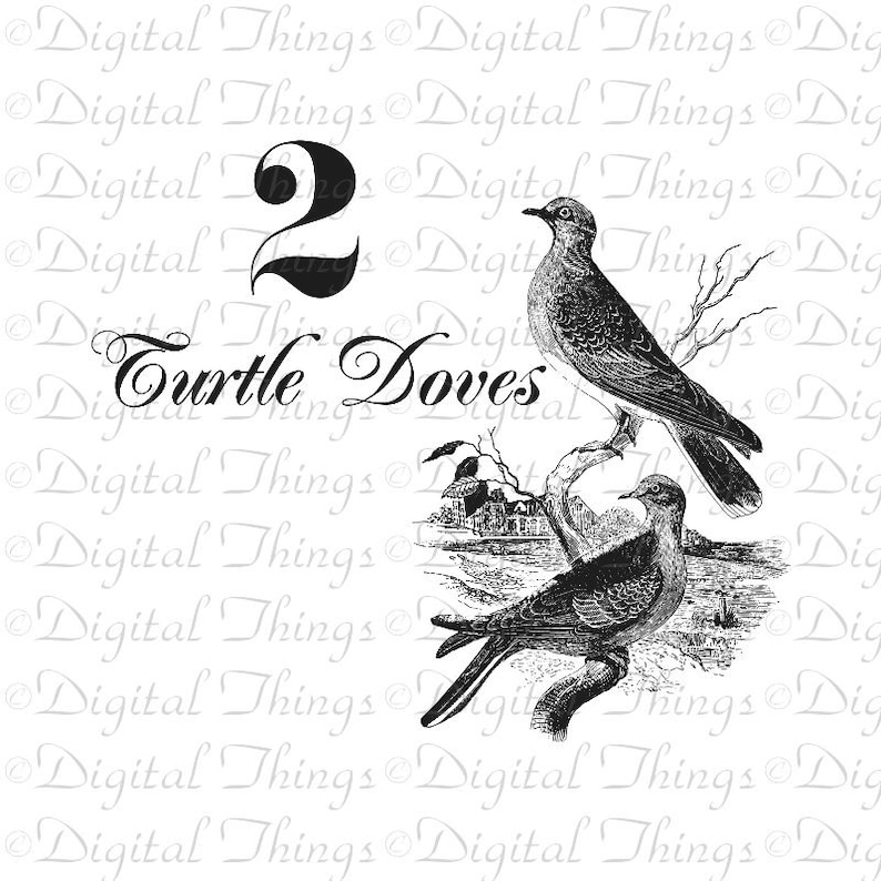 12 Twelve Days of Christmas Two Turtle Doves Bird Printable | Etsy