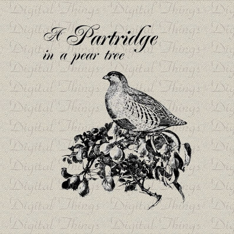 12 Twelve Days of Christmas Partridge in Pear Tree Printable | Etsy